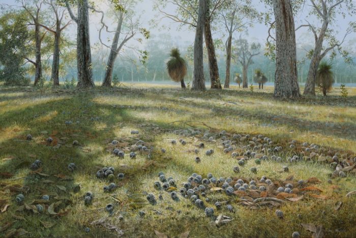 Home - Sam Broadhurst ~ Margaret River Artist